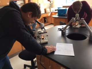 Cheek Cell Lab | ELLIOTT COUNTY HIGH SCHOOL