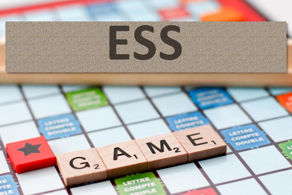 Middle School ESS Schedule | ELLIOTT COUNTY MIDDLE